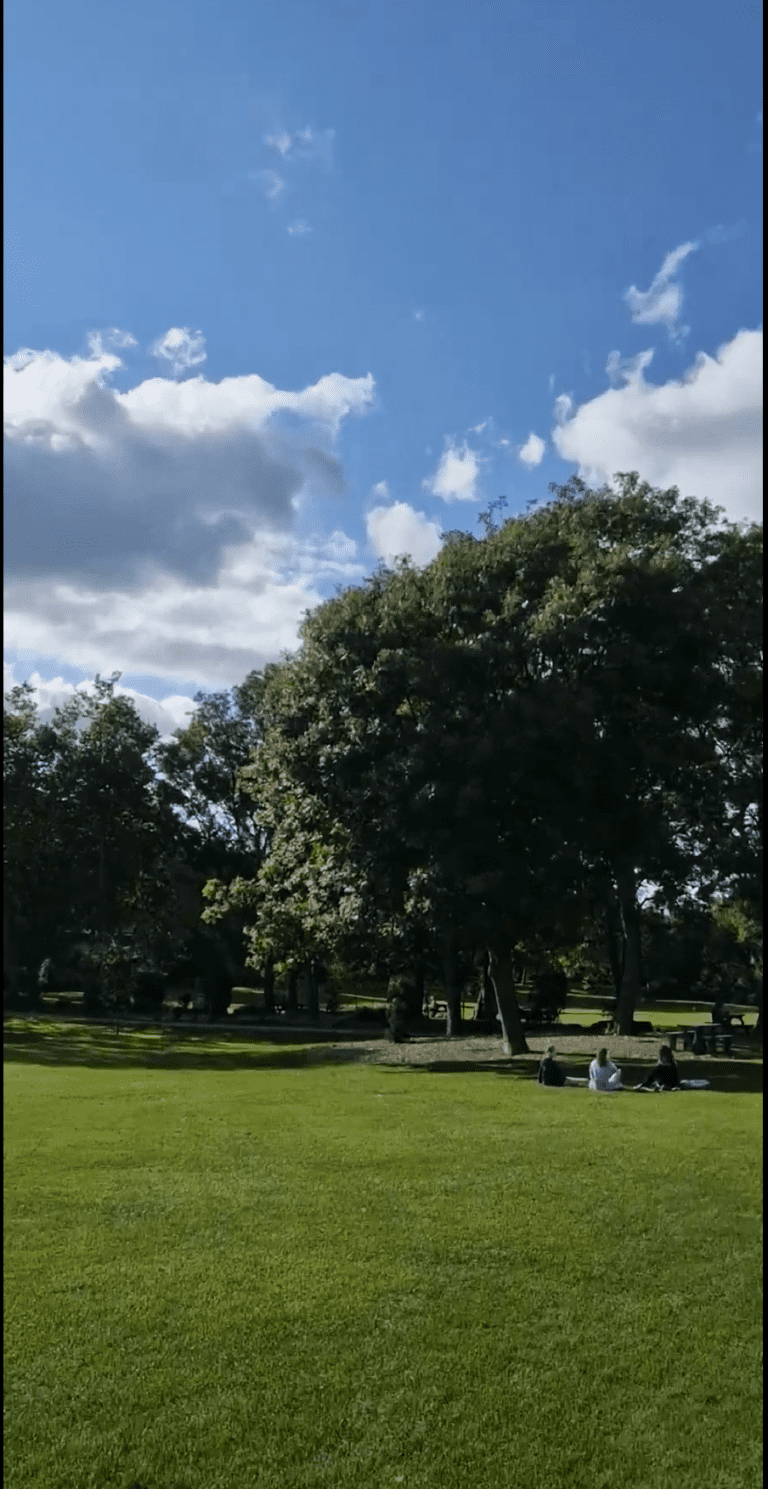 Discovering Dublin with the LUAS: A Comprehensive Guide - Dublin City Now